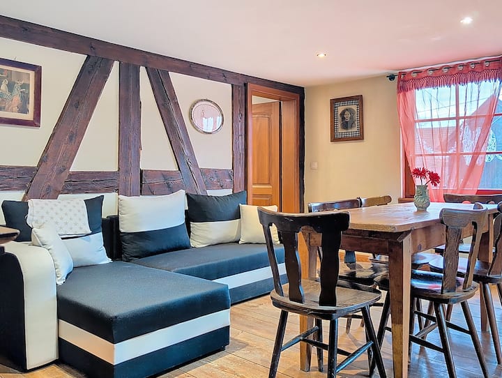 Perle Du Ried N°2 - Proche Europa-park - ルスト