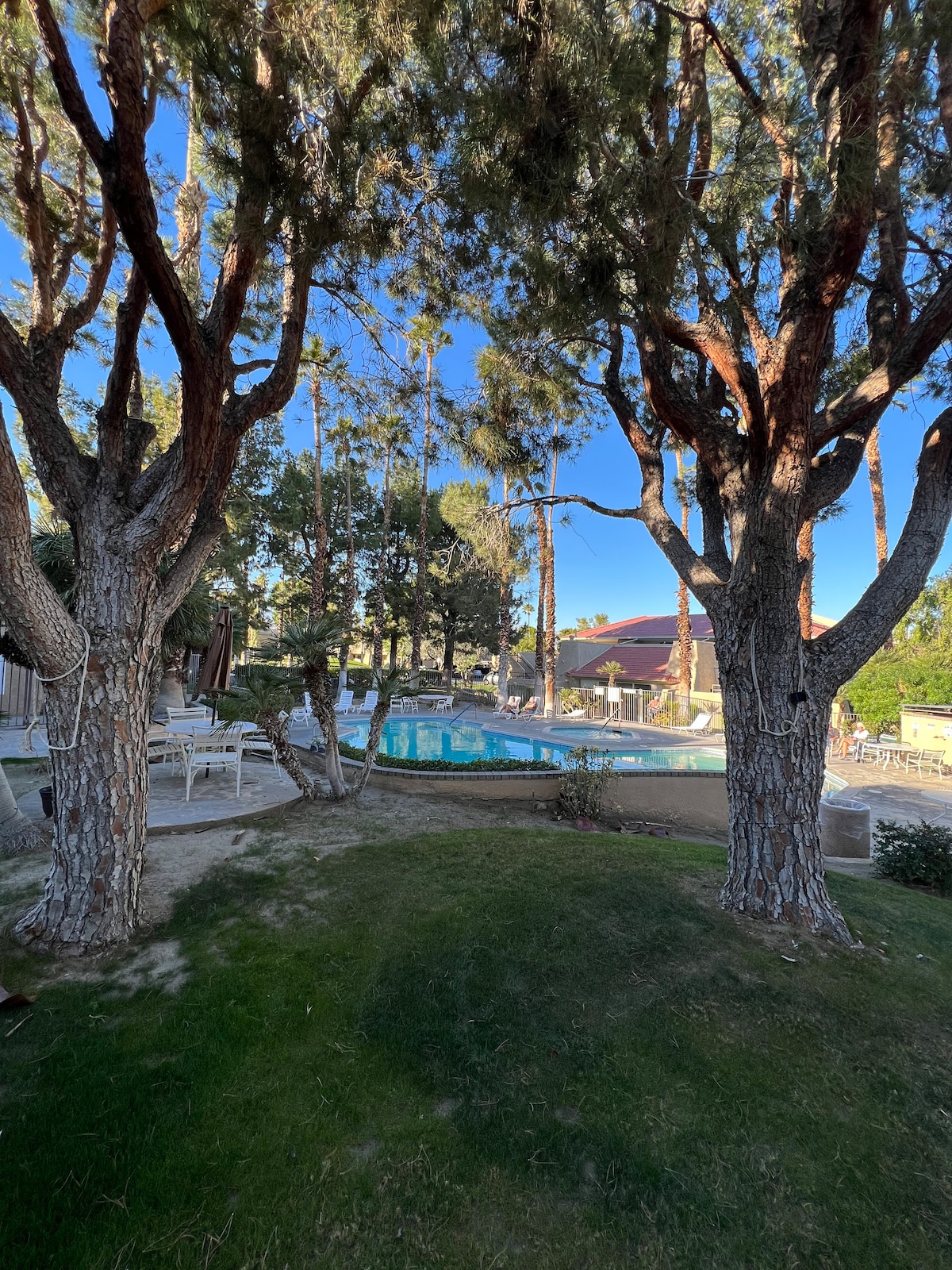 NEW! Mid-Century Chic* Gated* Ground Level* Pools - Flats for Rent in ...