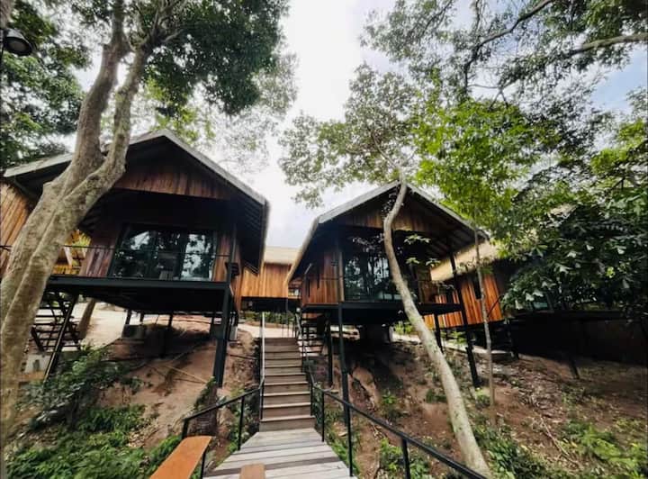 Coco Vly Koh Tao Double 11 - Ko Tao