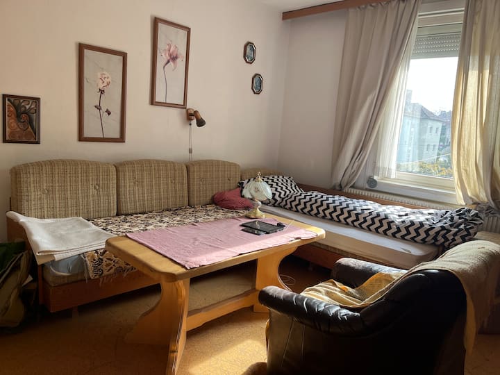 Grosses Zimmer In Linz. 1 Km Vom Zentrum Und Hbf - Linz