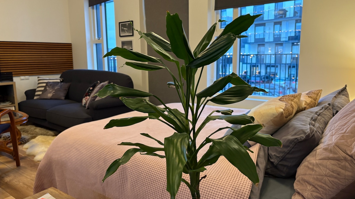 Travel Nest | Ocean Views & Near Sky Lagoon - Flats for Rent in ...