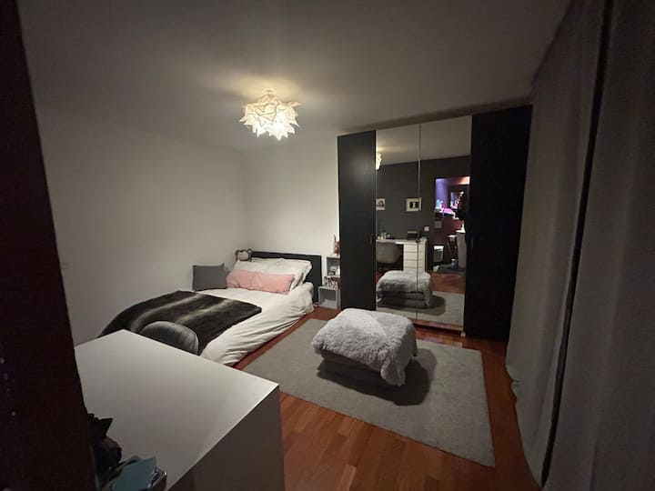 Chambre Avec Salle De Bain Privative - Lausanne