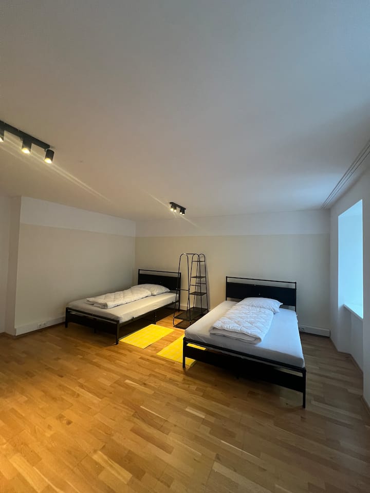 New! Party Loft Near Opera And Naschmarkt! - Wien
