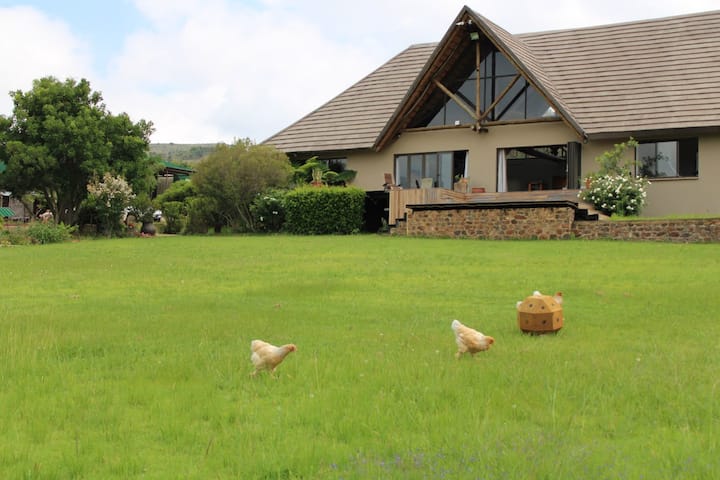Spacious Room
Relaxing Farm Stay
Tranquil Outdoors - Modimolle