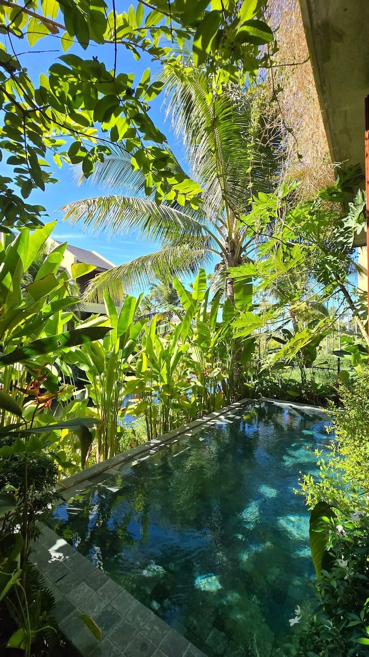 Faifo Retreat Villa-3brs/pool/5' To An Bang Beach - Hội An