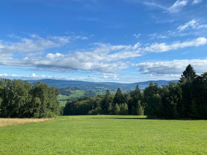 Ferienwohnung Ro - Oberfrauenwald - Neureichenau