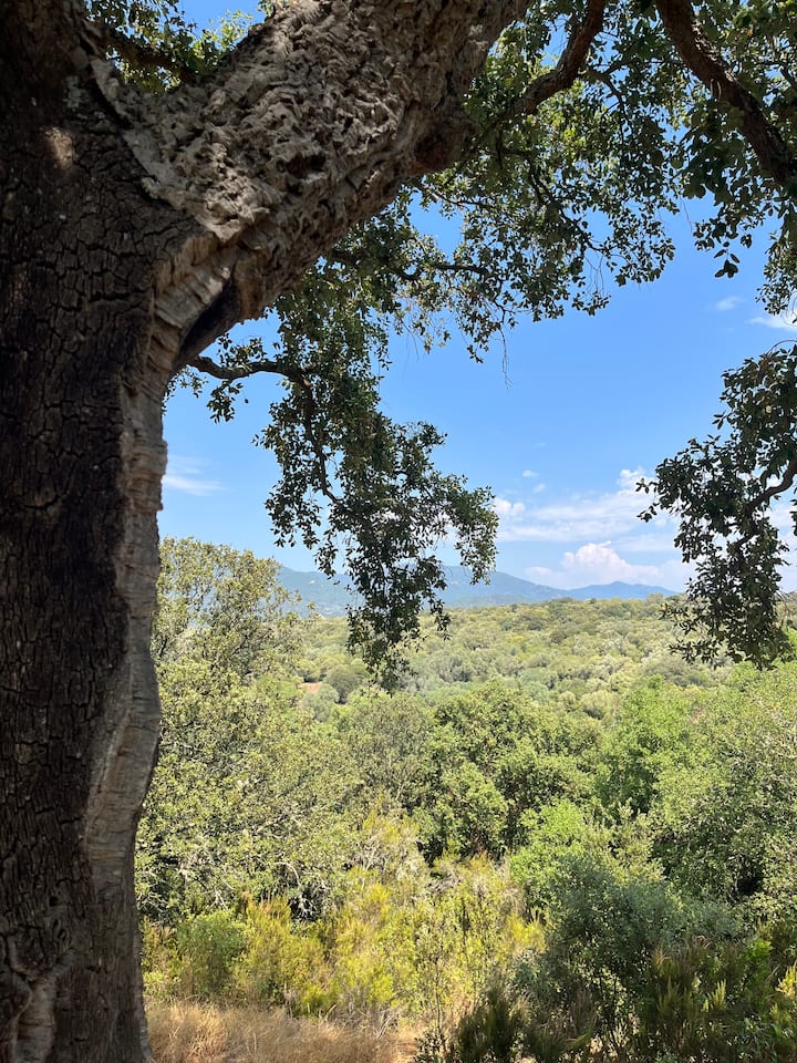 Emplacement Nature Dans Un Jardin En Permaculture - Corse-du-Sud