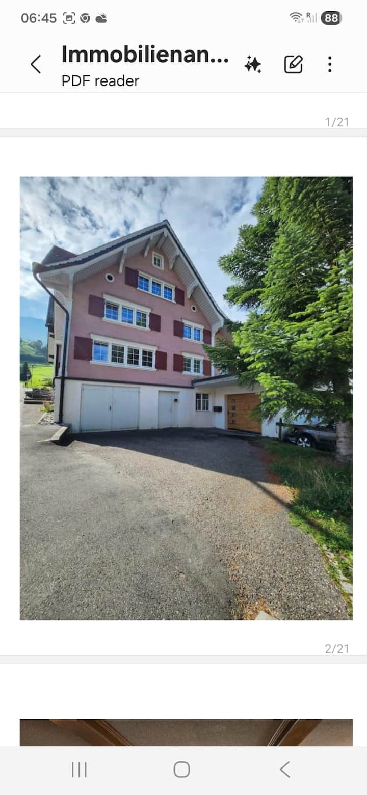 Traditionelles Toggenburger Haus (6) - Wildhaus