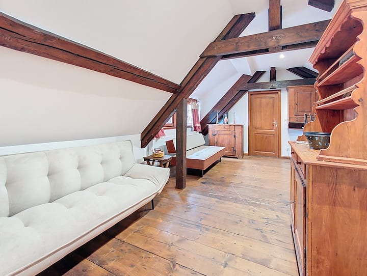 Perle Du Ried 4 - Entre Strasbourg Et Colmar - Rust