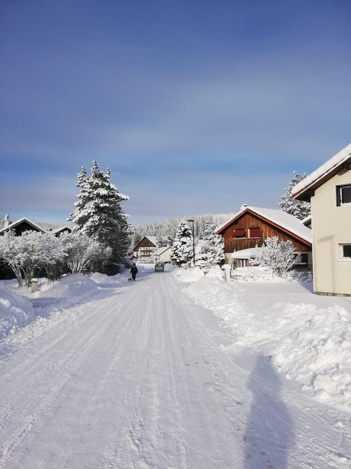 Gîte "Le Chalet Des Pas Sages" - Mouthe
