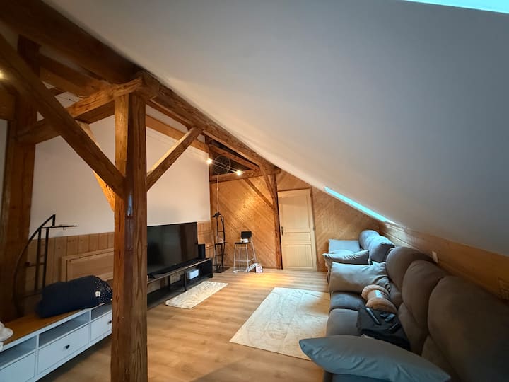 Appartement/maison Pour 10 Personnes - La Roche-sur-Foron
