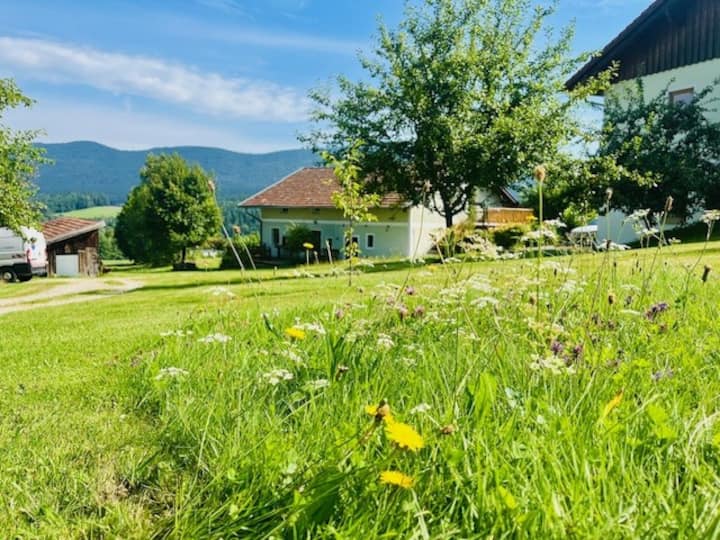 Ferienhaus-ferienwohnung-urlaub Bayerischer Wald - Cham