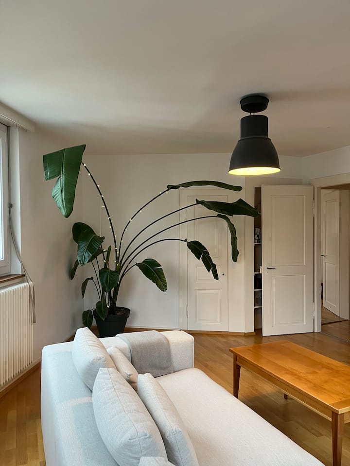 Cozy Central Zurich Apartment - Zürich