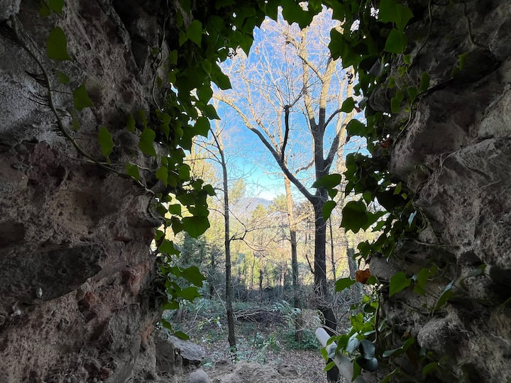 La Finestra Nella Rocca: Nel Cuore Di Montecarlo - Montecarlo