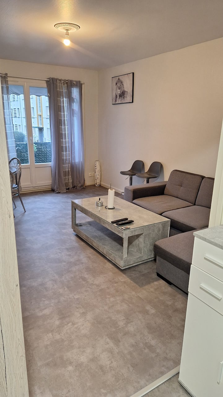 Appartement Chaleureux Au Rez-de-chaussée - Blois