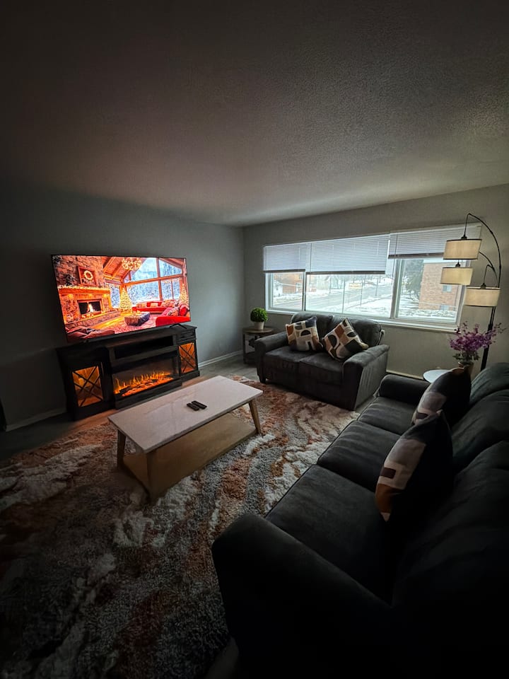 Clean & Cozy 2br St. Paul - Saint Paul, MN