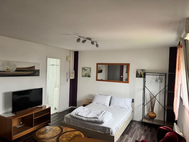 Charmant Studio Bleu Proche Gare - Saran