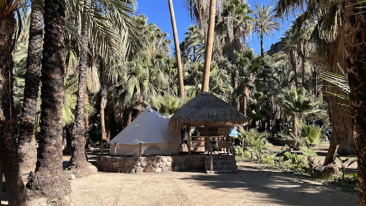 Hermoso Y Natural Glamping Oasis San Ignacio - 1 - Baja California Sur