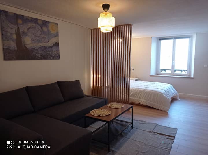 Studio Cosy Centre Nancy – Place Stan à 5 Min - Meurthe-et-Moselle