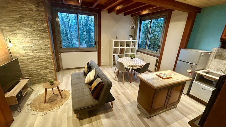 T2 Ambiance Chalet Aix-les-bains - Aix-les-Bains