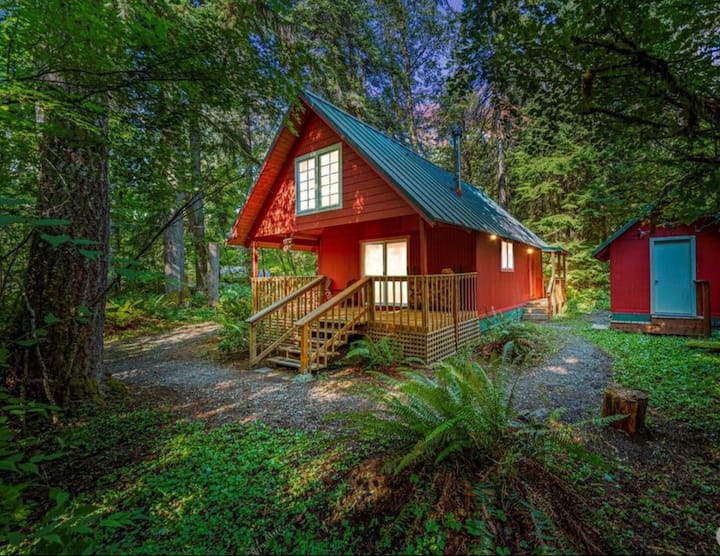 Cozy Ashford Cabin Near Mount Rainier - 