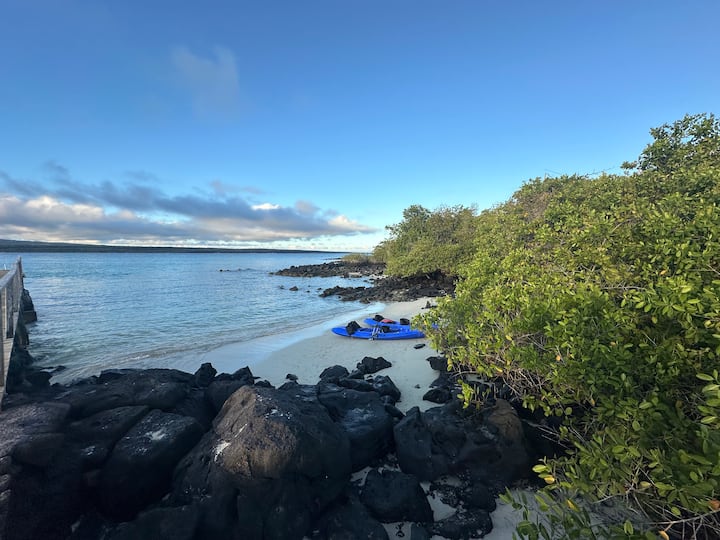 Downtown Galápagos Prime - Galápagos Islands