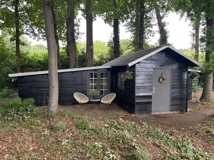 Heerlijk Huisje In Eigen Stukje Bos - Baarn