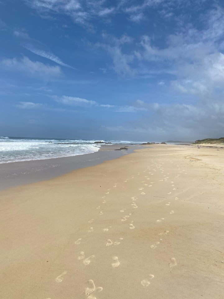 Home In Scamander - Scamander