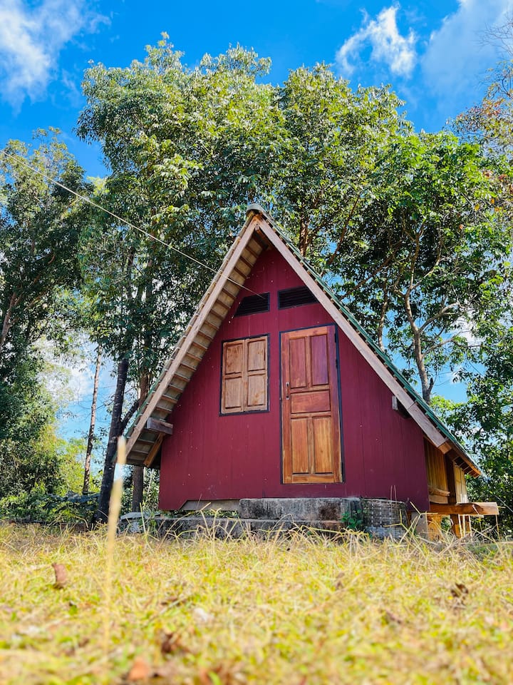 โหม่โหม่โฮมสเตย์ (Momo Homestay) - Mae Chaem District