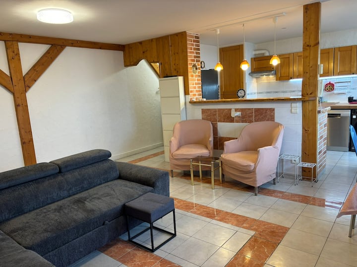 Bel Appartement éQuipé - Annemasse