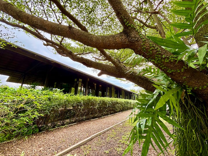 Seamy Riverside: A Hidden Gem Named With Love - Ongkharak