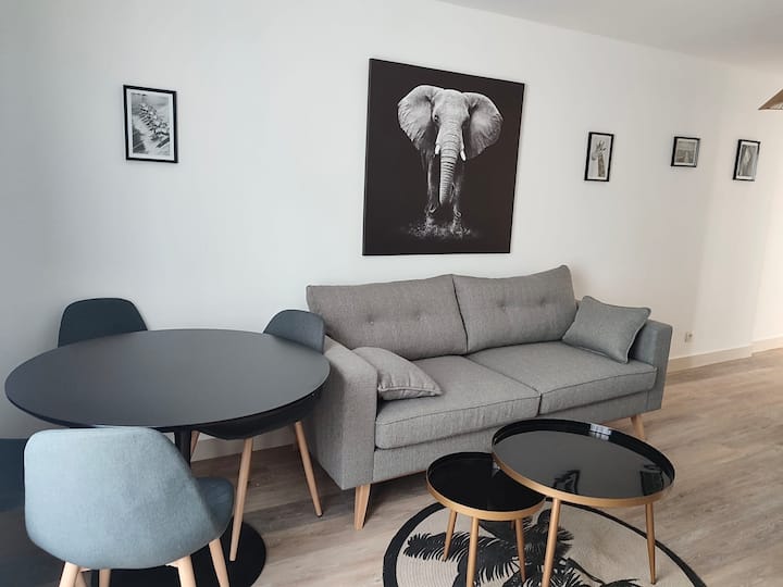 B8 - Studio Duplex - Mansardé - Hypercentre - Vertou