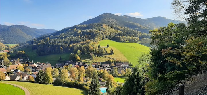 Ferienwohnung Im Luftkurort Oberprechtal - Elzach