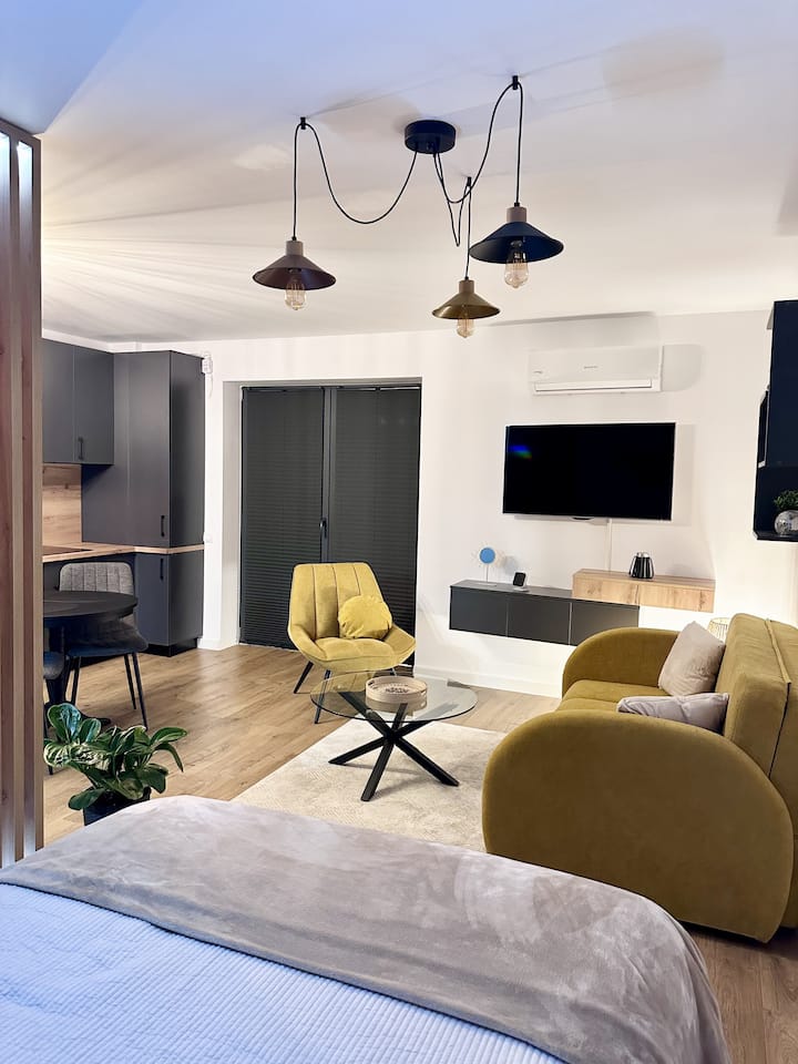 Old Town Cetral Park Apart - Maramureș