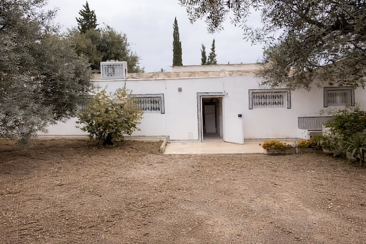 Your Perfect Hammamet Retreat 3 Br Villa - Hammamet