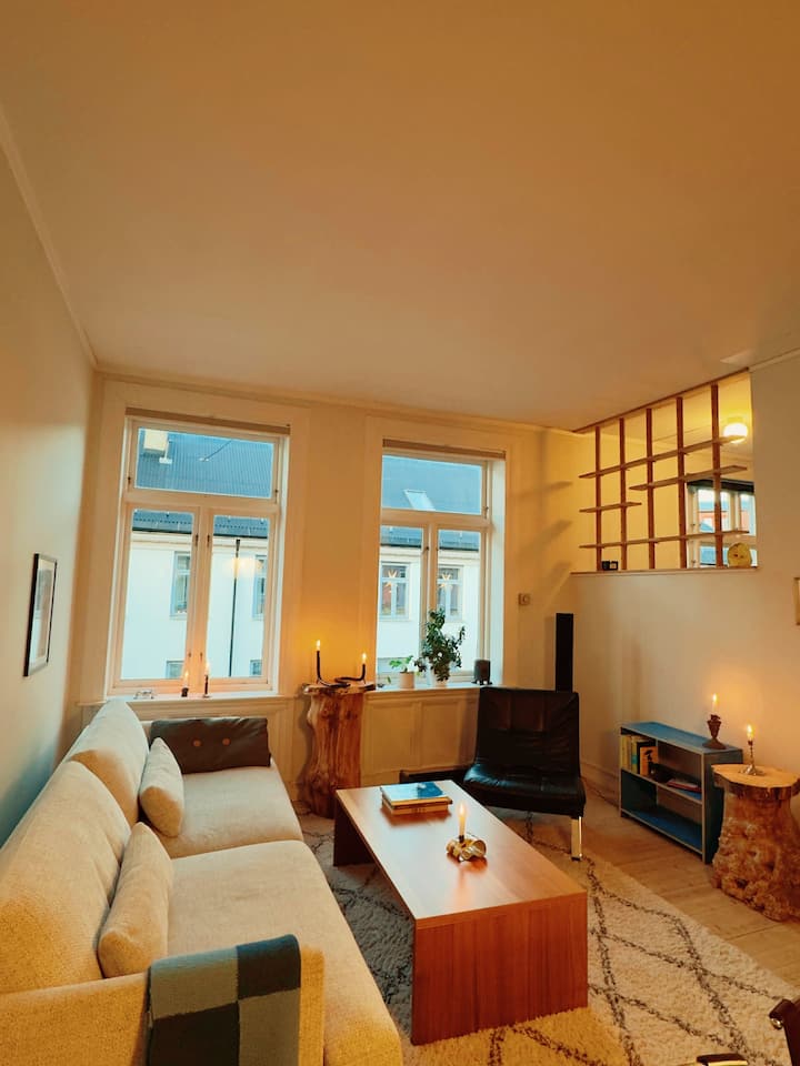 Sjarmerende Leilighet På Grünerløkka - Oslo