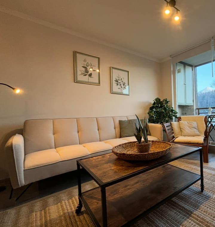 Departamento Con Excelente Ubicación Y Entorno. - Pucón