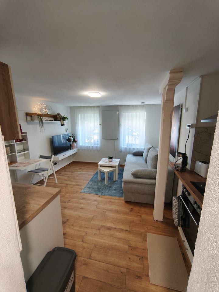 2 Zimmer Wohnung Nähe Flughafen Messe Und Outlet - Metzingen