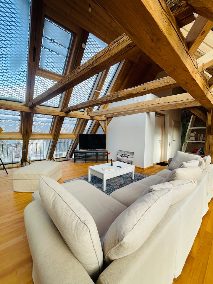 Schwarzwald Loft (Mauer Loft) - Hüfingen