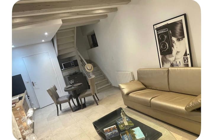 Cocon En Bord De L'eau - Montlouis-sur-Loire