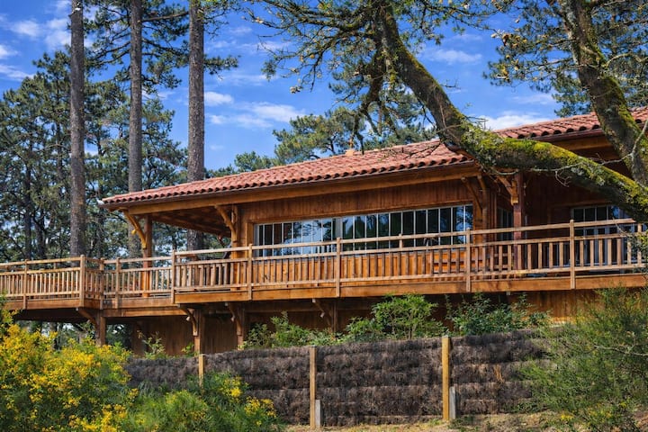 Maison Sur La Pointe Aux Chevaux, Plage à 100 M - Cap Ferret