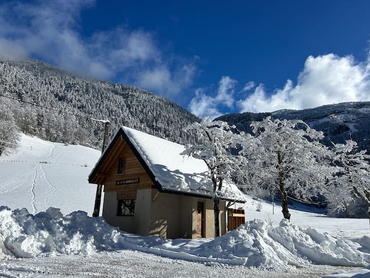Gîte Au Bois Dormant - Saint-Pierre-de-Chartreuse