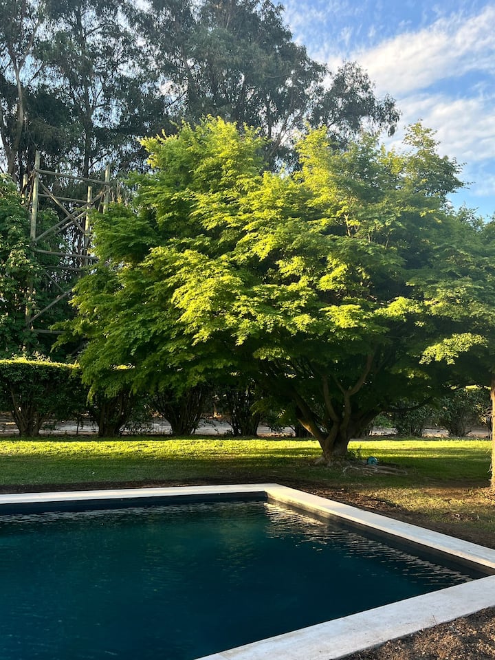Parcela Para Paseos Por El Día C/piscina Y Quincho - Buin