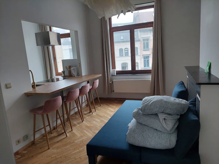 Charming Apartment – European Quarter - Woluwe-Saint-Lambert