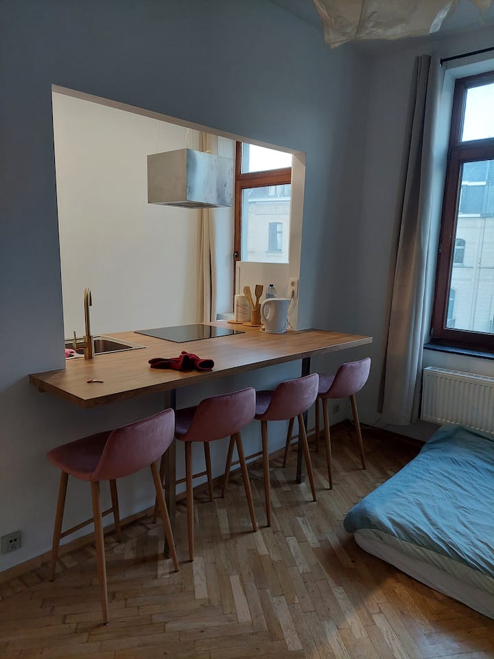 Charming Apartment – European Quarter - Schaerbeek