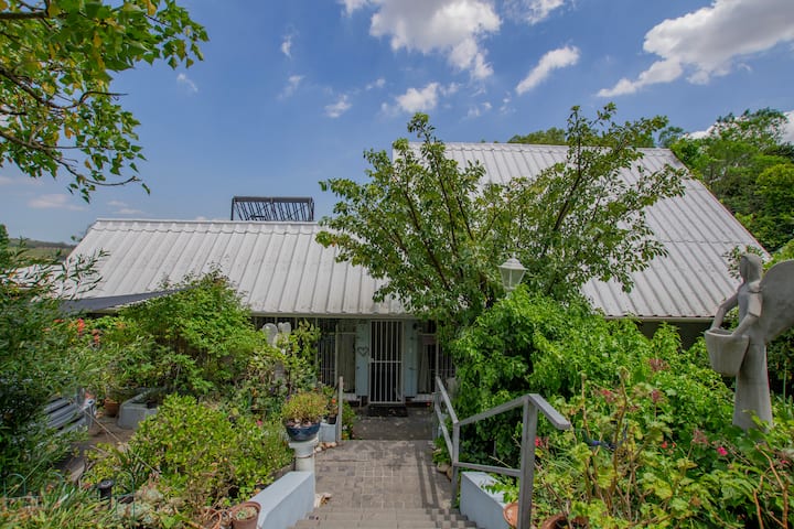 Gratitude - Stellenbosch