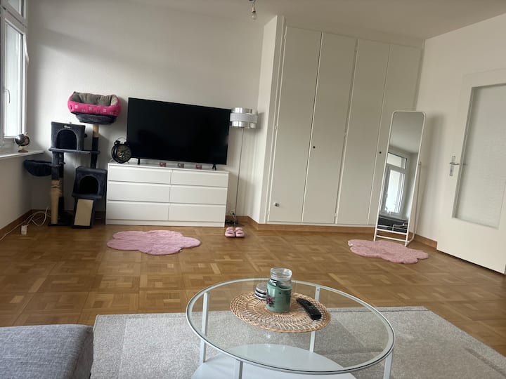 Studio Centre-ville, Gare à Proximité - Genève