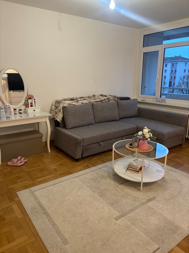 Appartement Centre-ville, Gare à Proximité - Genève