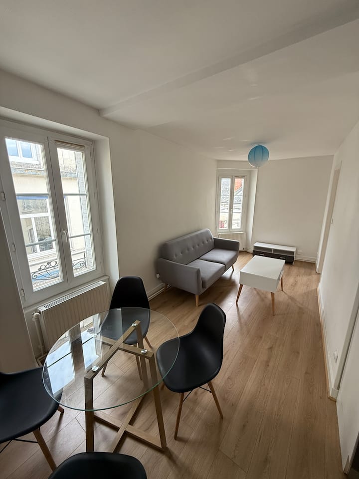 Appartement T3 Centre Ville - Vierzon