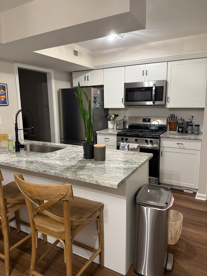 House In Central Richmond - Richmond, VA